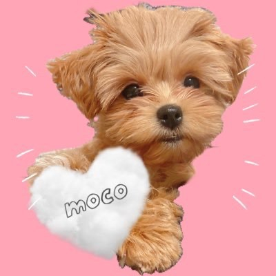 moco🧸 ig moco.s2.rsのROOM - 欲しい! に出会える。