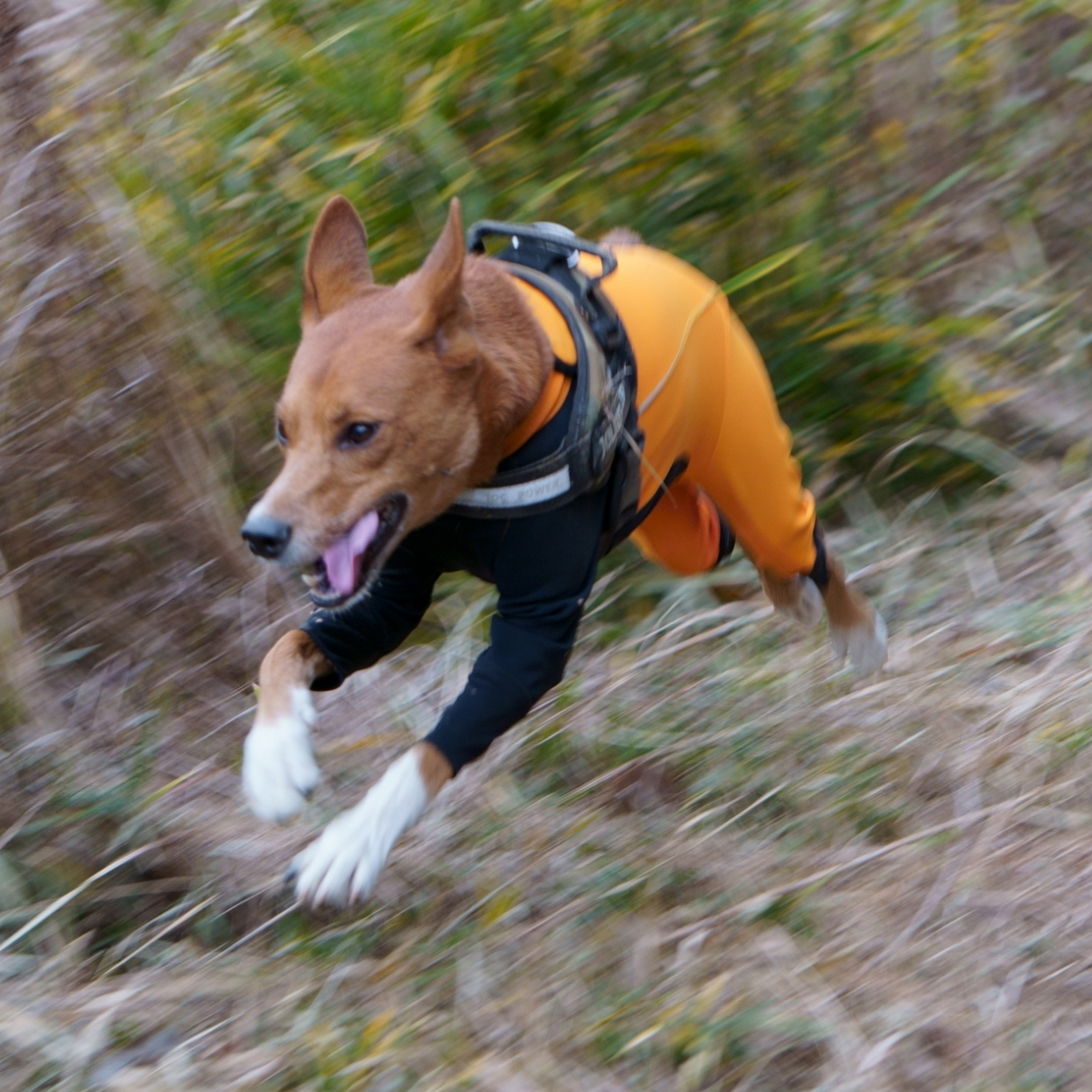 Mitten 🔰🔰🔰🔰🔰のROOM - 欲しい! に出会える。