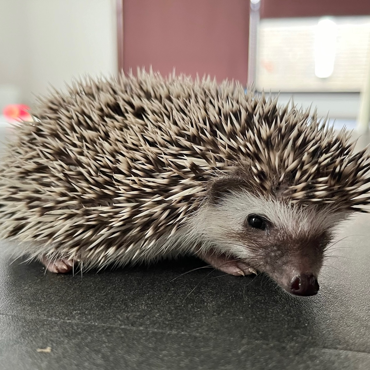 yuukiのROOM - 欲しい! に出会える。