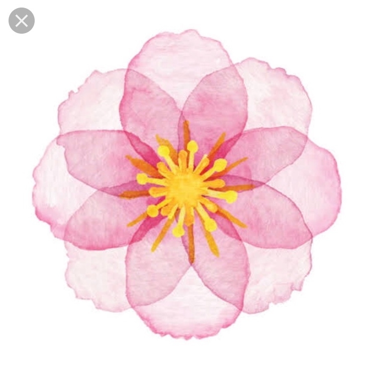 Kaoru_roomのROOM - 欲しい! に出会える。