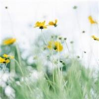 getgg*のROOM - 欲しい! に出会える。