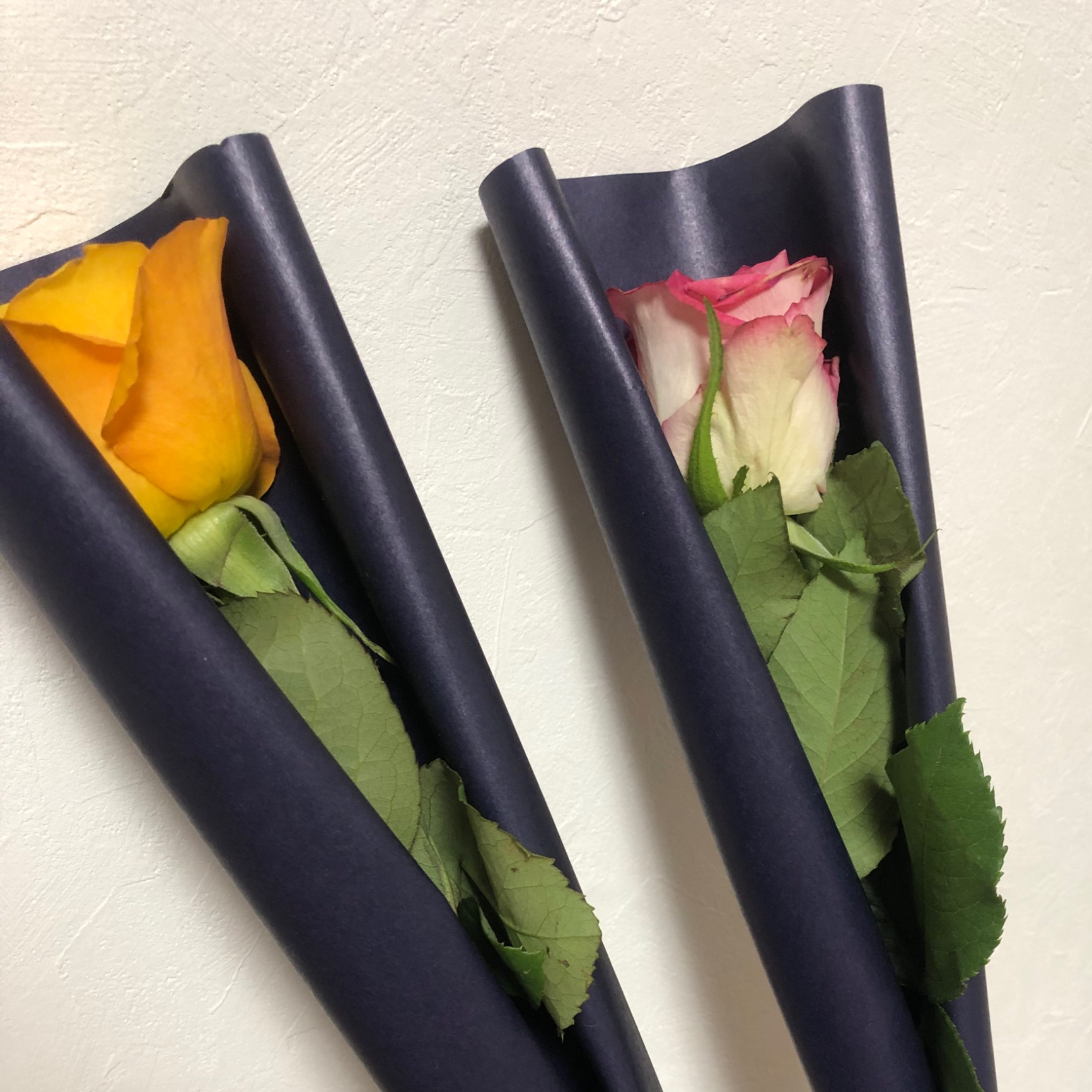 ririca@経由購入感謝です🙇‍♀️のROOM - 欲しい! に出会える。