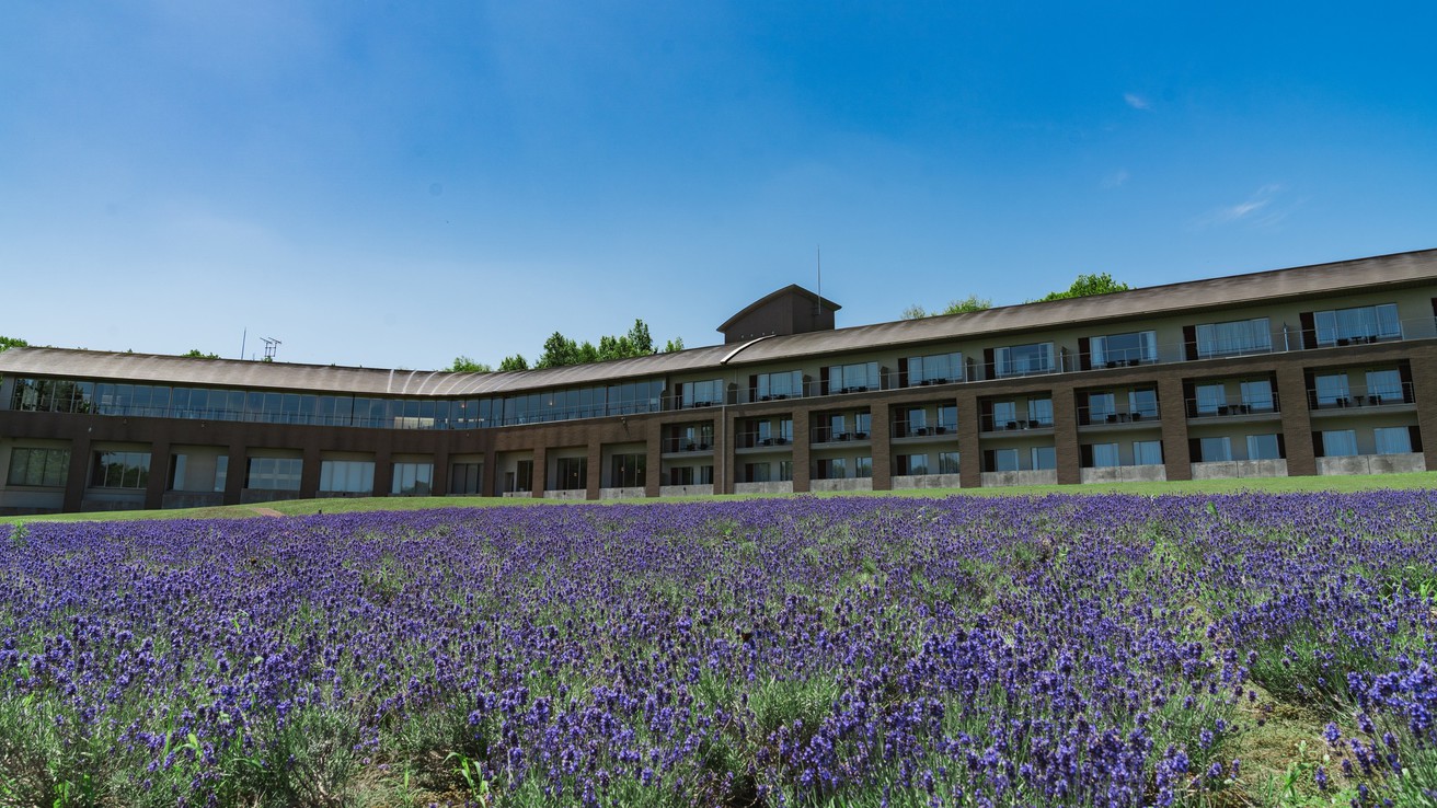 Furano Hotel - Furano
