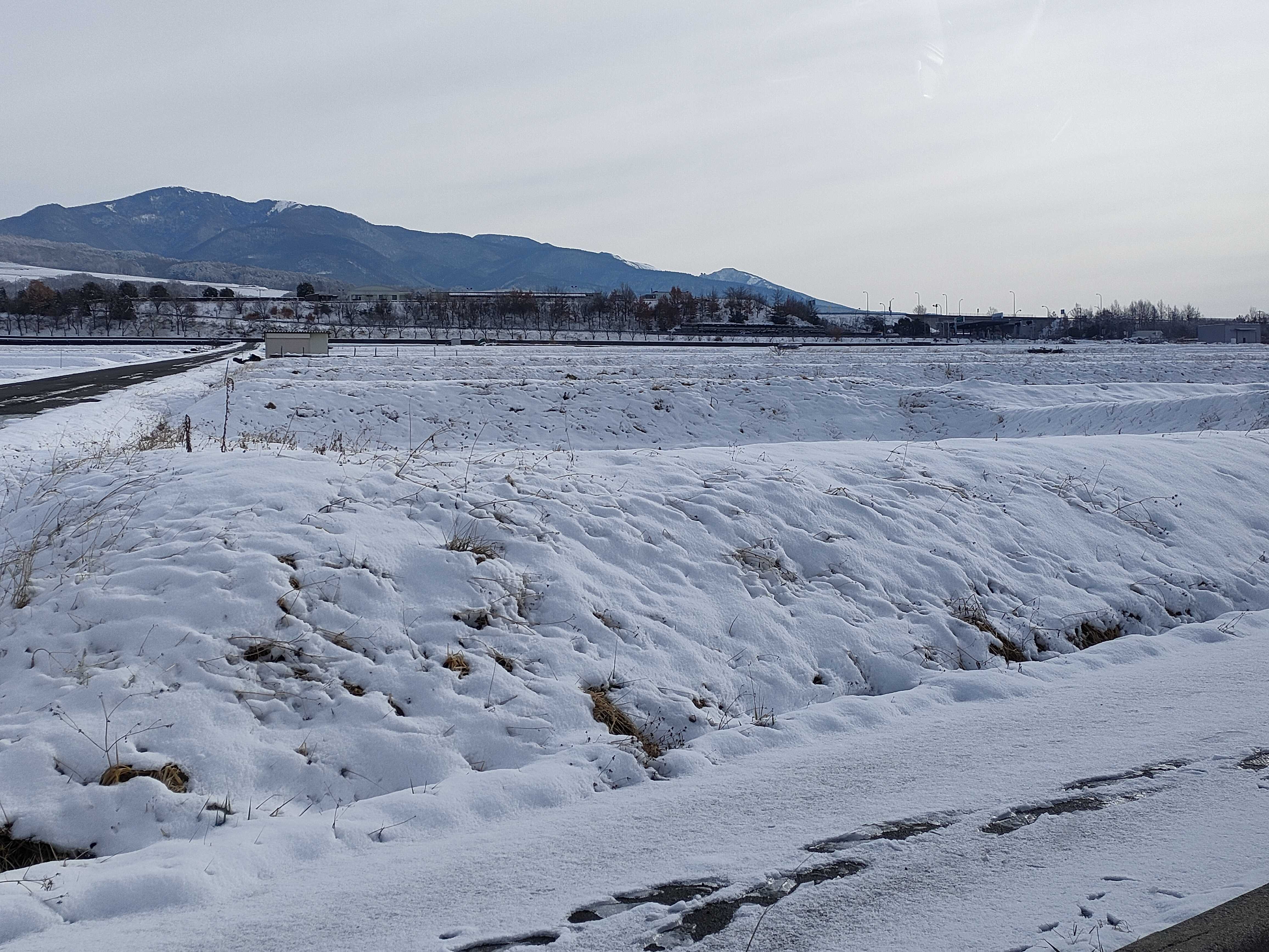 QYLDとHDVで配当金生活したい! - 楽天ブログ