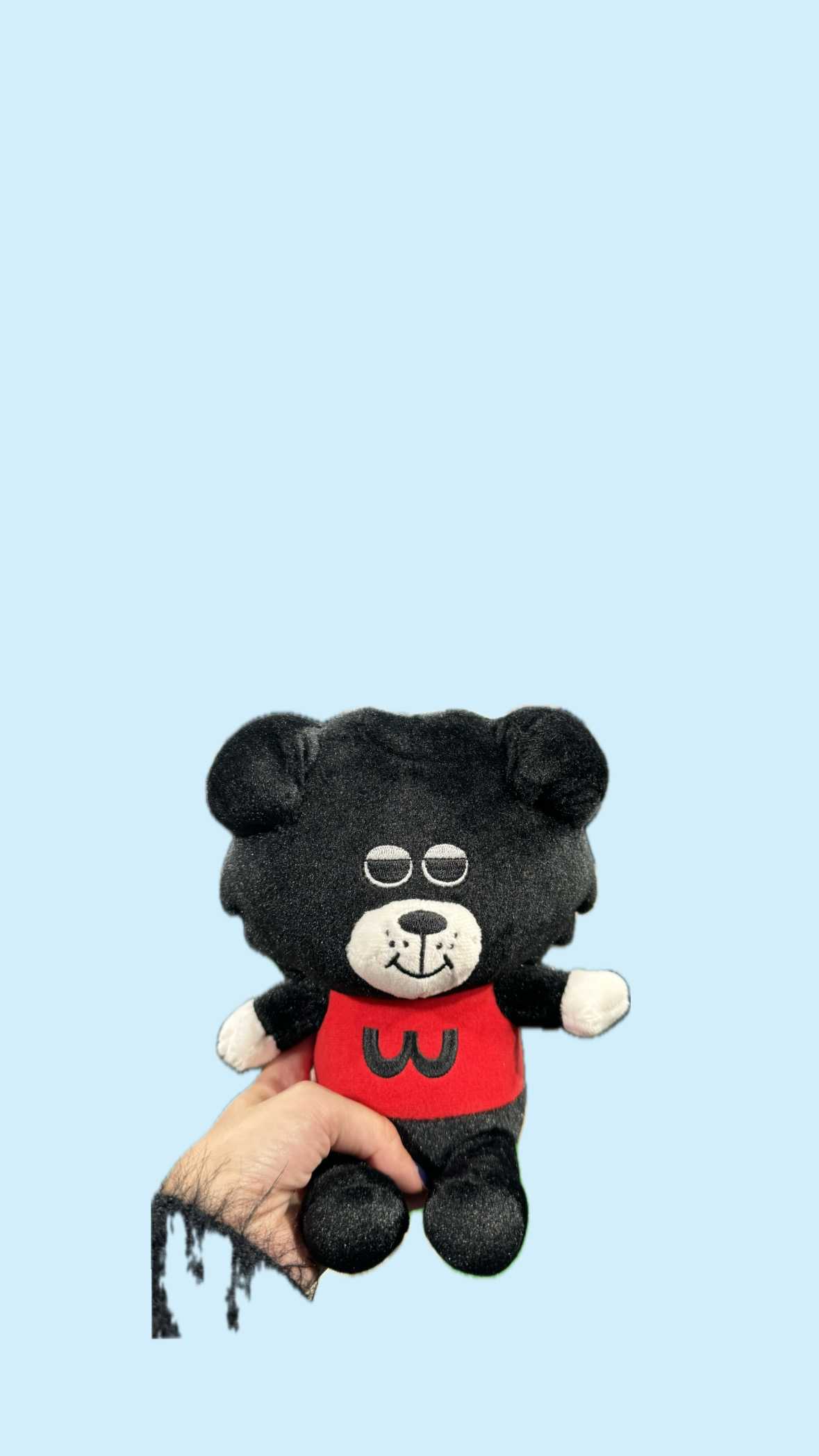 【2025年1月発売】男子バレー予約/販売情報まとめ | バレーボール情報 - 楽天ブログ