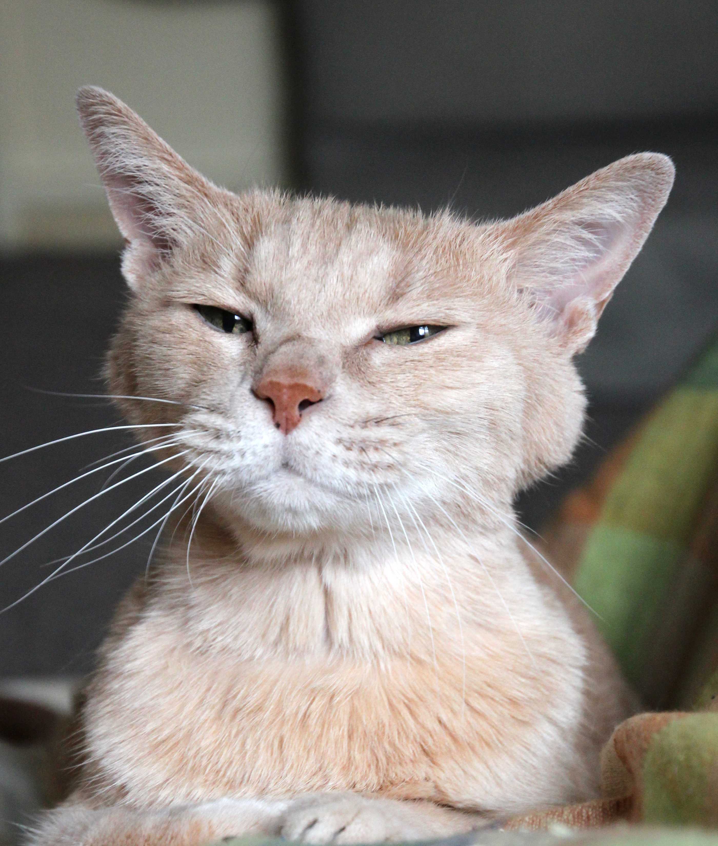 sp0_0kのブログ - 楽天ブログ