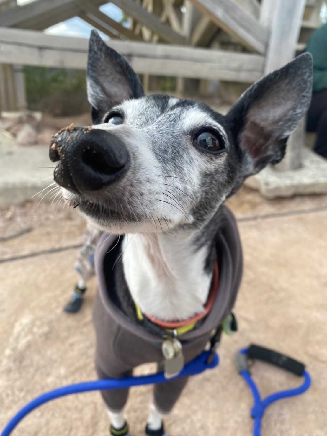 Qukuのブログ - 楽天ブログ