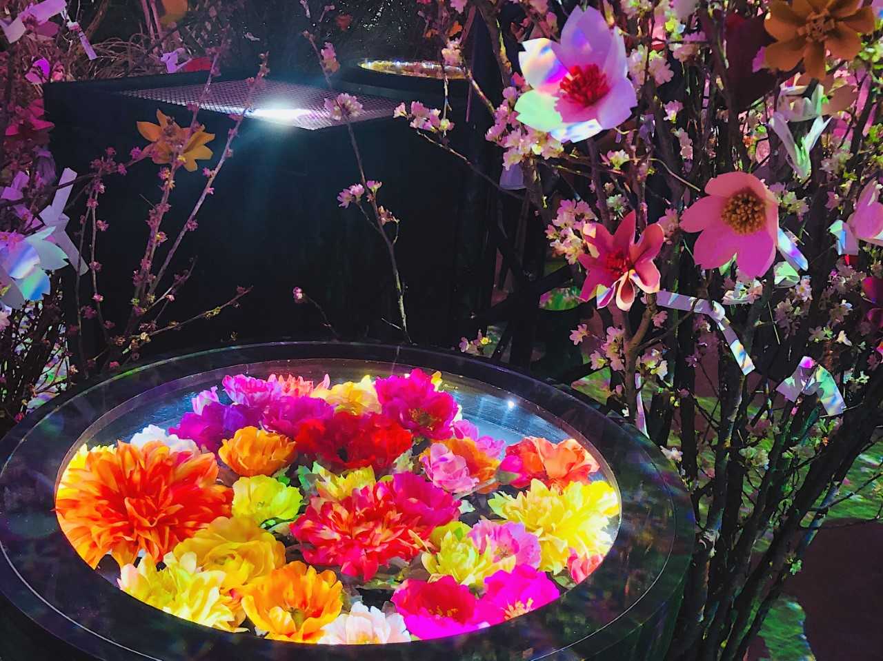 Maria Regale - 楽天ブログ