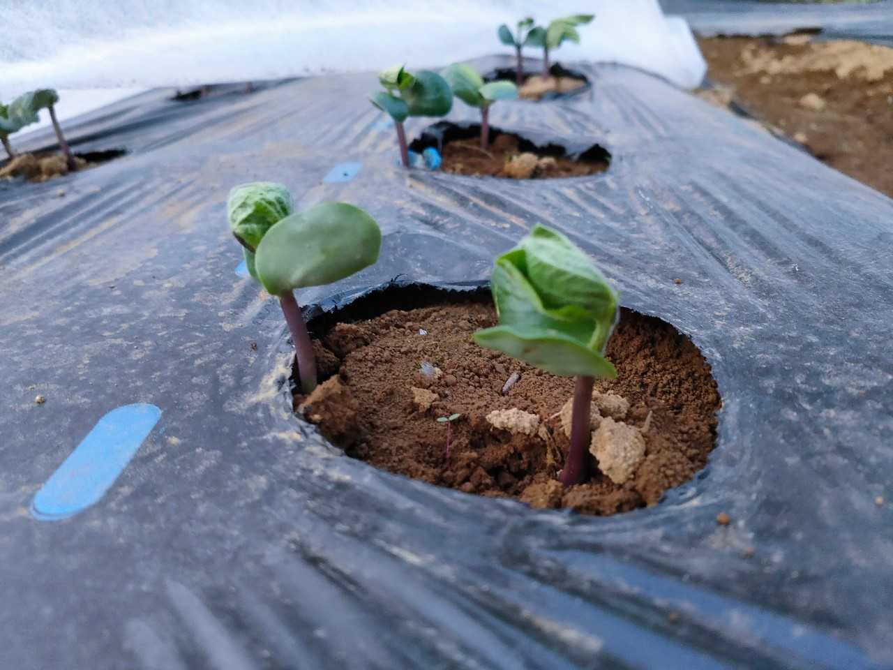 Do it yourself - 楽天ブログ