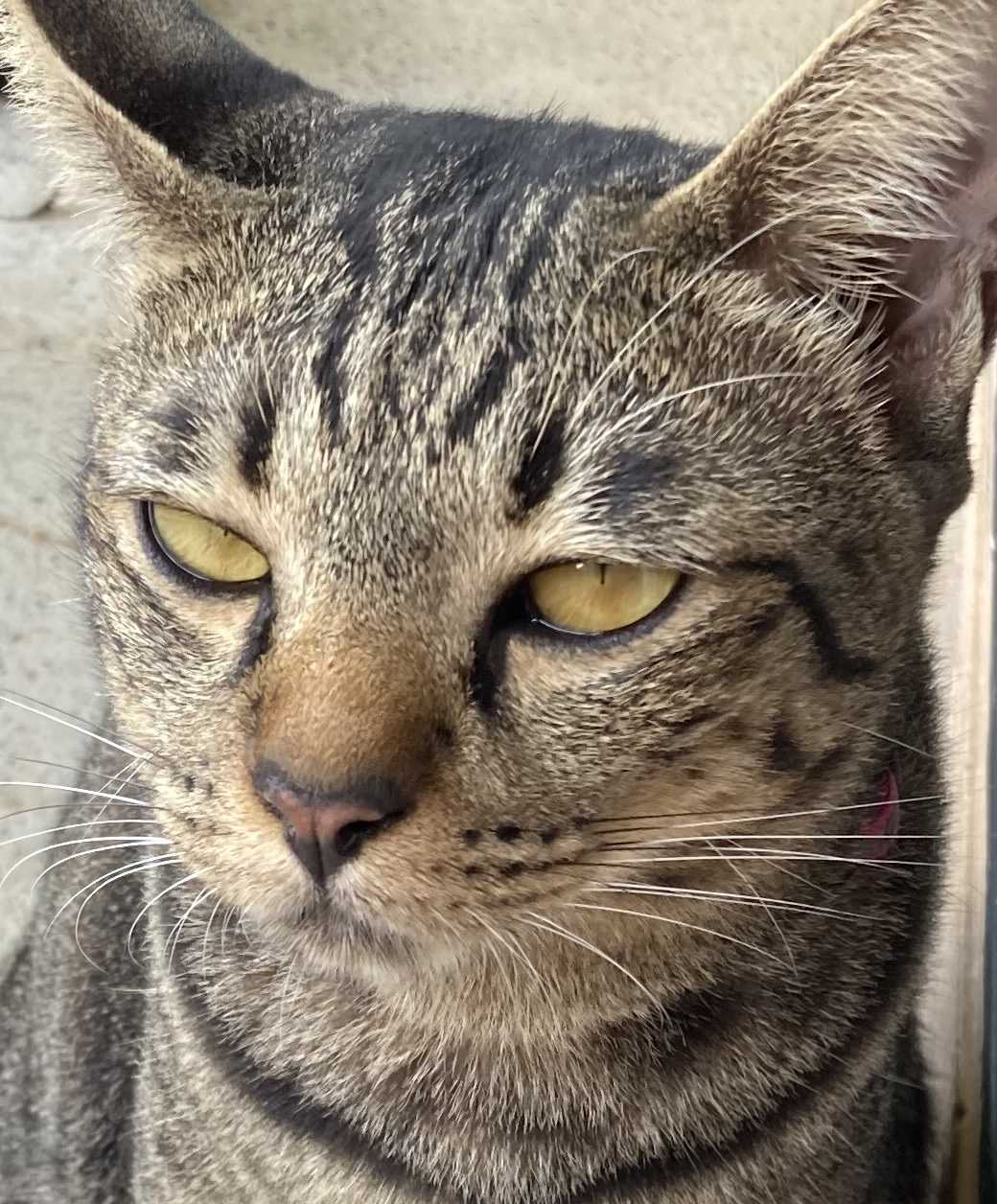 hooman担当のブログ - 楽天ブログ