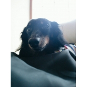 記事一覧 | Ueda Style - 楽天ブログ