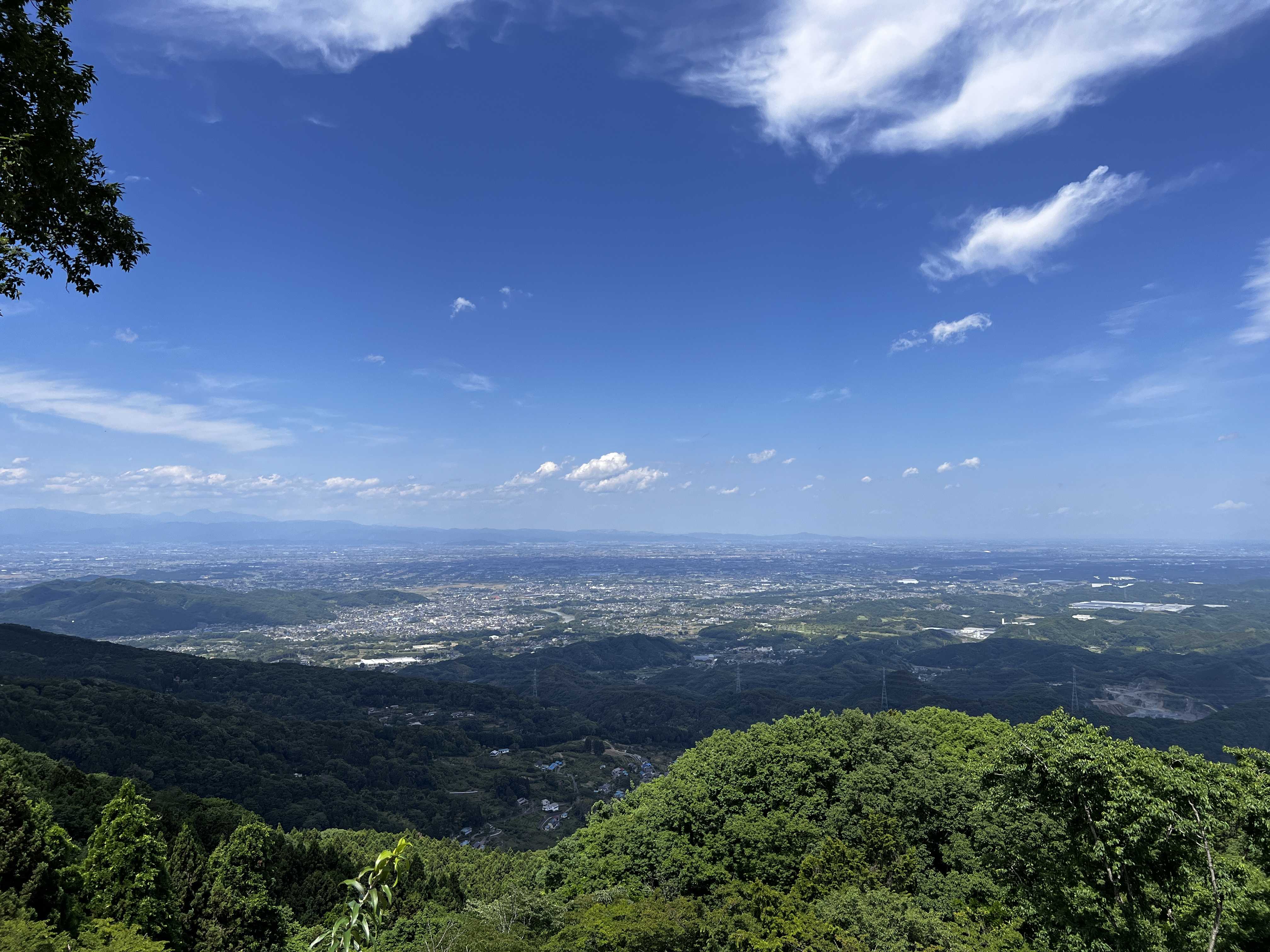 24時間限定‼️先着10.000個限定‼️急げ〜 | suisuiの良いモノブログ - 楽天ブログ