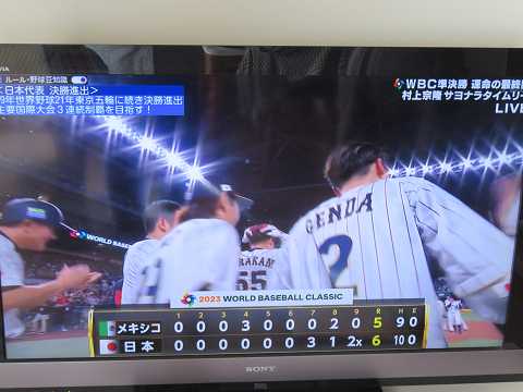 WBC2023 日本xﾒｷｼｺ（TV） | 星とカワセミ好きのブログ - 楽天ブログ
