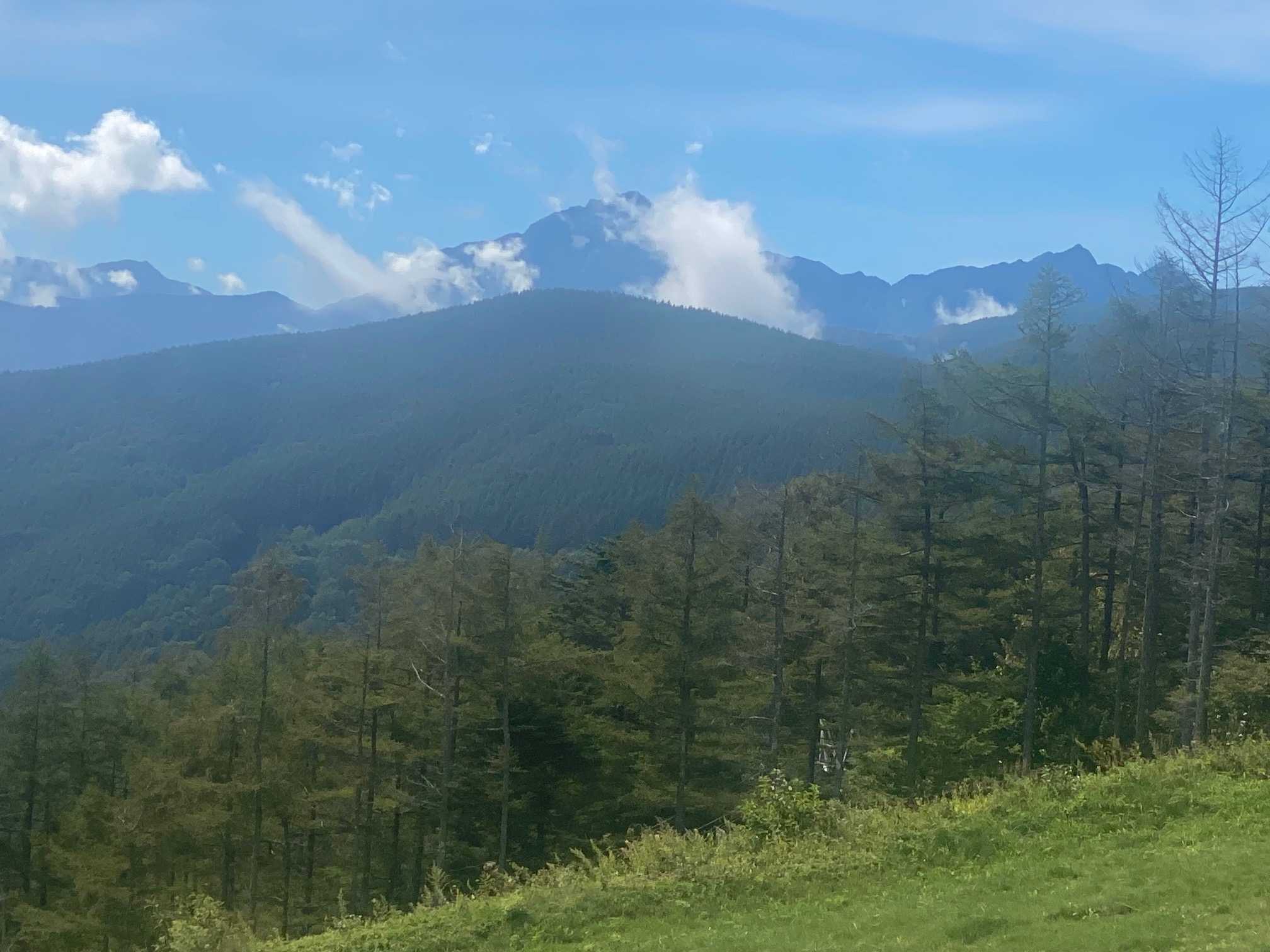 花の入笠山（にゅうがさやま・1,955m）日本三百名山（3） | 醍醐山と下部（しもべ）温泉 - 楽天ブログ