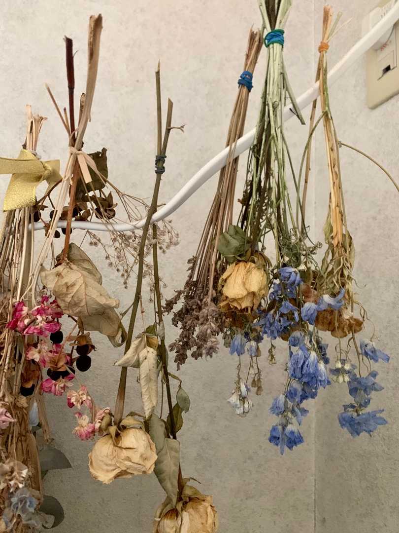 生けてた紫陽花が萎れてきたので、押し花にしました。あそびあーと☆こども劇場いるまの夏祭りで押し花を使うと言うので。残りは、ドライフラワーにし ...