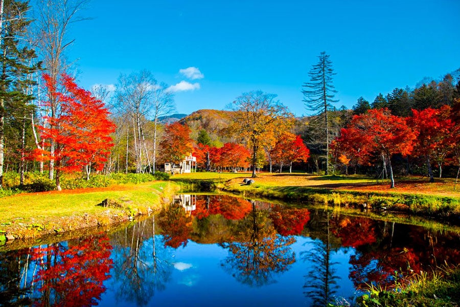 Bashar: The Original Role of Human Beings | みゅうにゃん お散歩日記 - 楽天ブログ