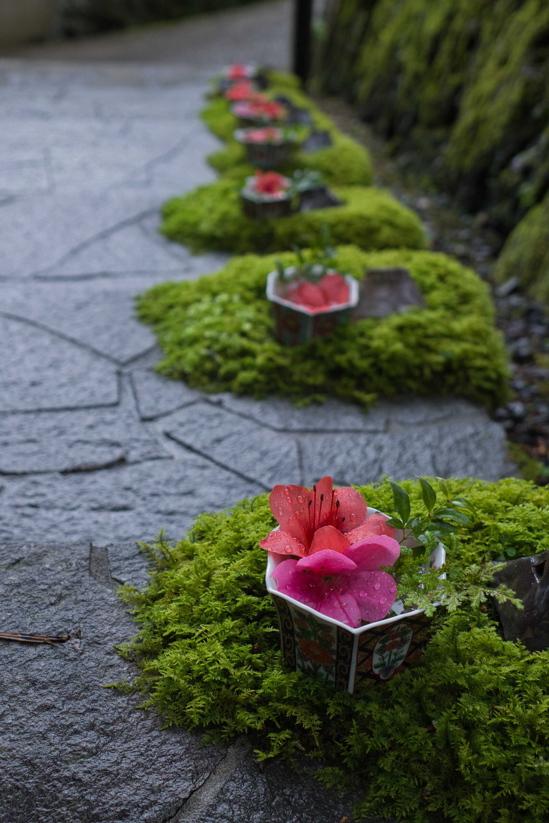 Visit the valley of Mr. Nagatani 永谷宗家の谷を訪ねる | 遠くの細道 ～ 人生最後の10年間の記録 - 楽天ブログ