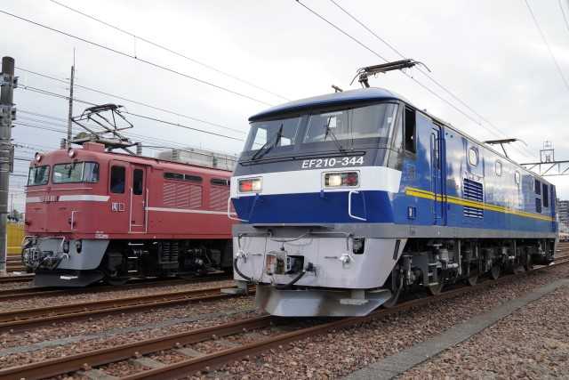 #EF81 81 & DE10 1752 & EF210-344牽引 鹿島貨物並び | 鉄人騎士。鉄 パワーランド(*^ω^*) - 楽天ブログ