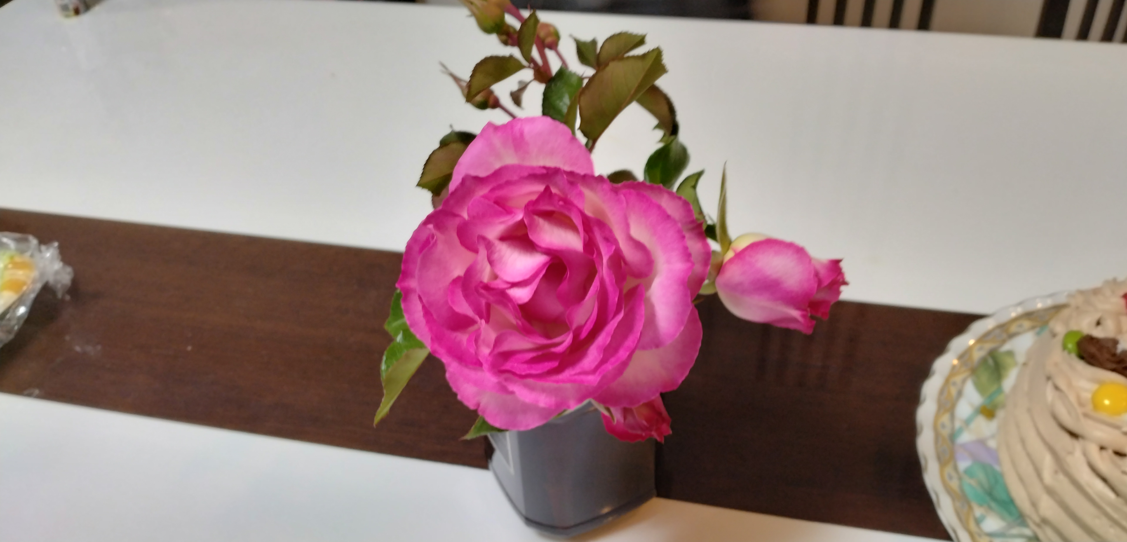 一足早いクリスマス会 | 4chanの部屋 - 楽天ブログ