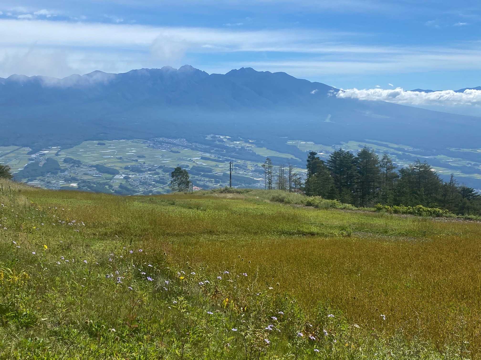 花の入笠山（にゅうかさやま・1,955m）日本三百名山（1） | 醍醐山と下部（しもべ）温泉 - 楽天ブログ