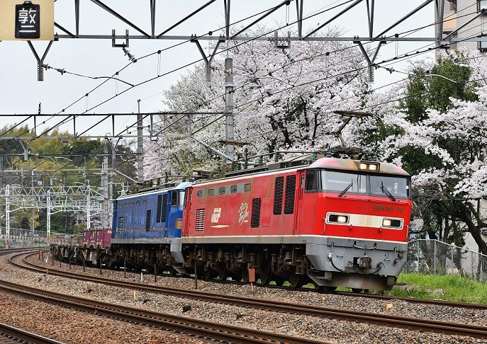 EF510-15 EF510-506無動 配6550レ | アッシュ君の部屋 - 楽天ブログ