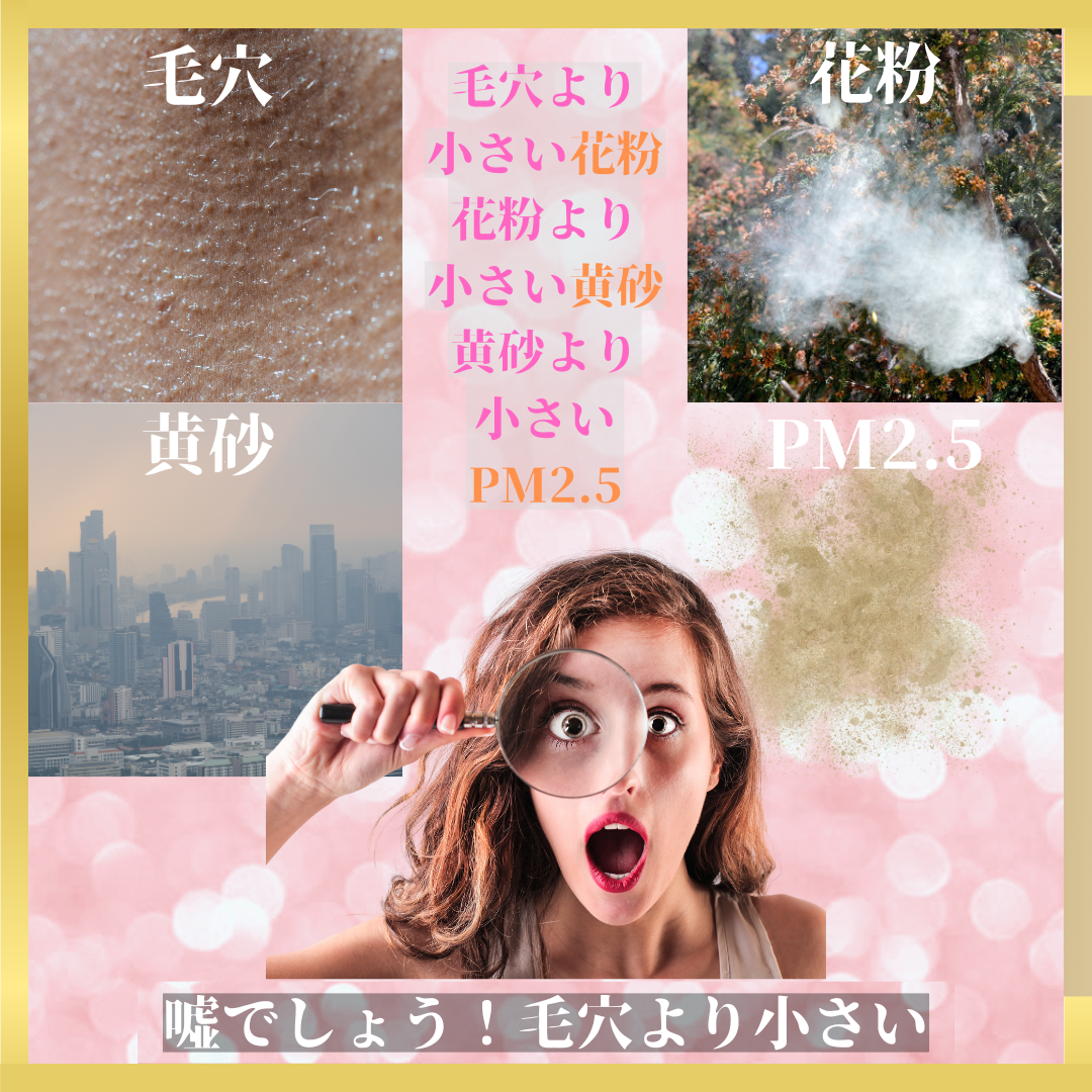 ☆そりゃ肌荒れるわw毛穴より小さい花粉・黄砂・PM2.5 | 目元のお悩み（クマ・シワ・たるみ・くすみ・眼精疲労）フェイシャルサロン【eyeleap】 - 楽天ブログ