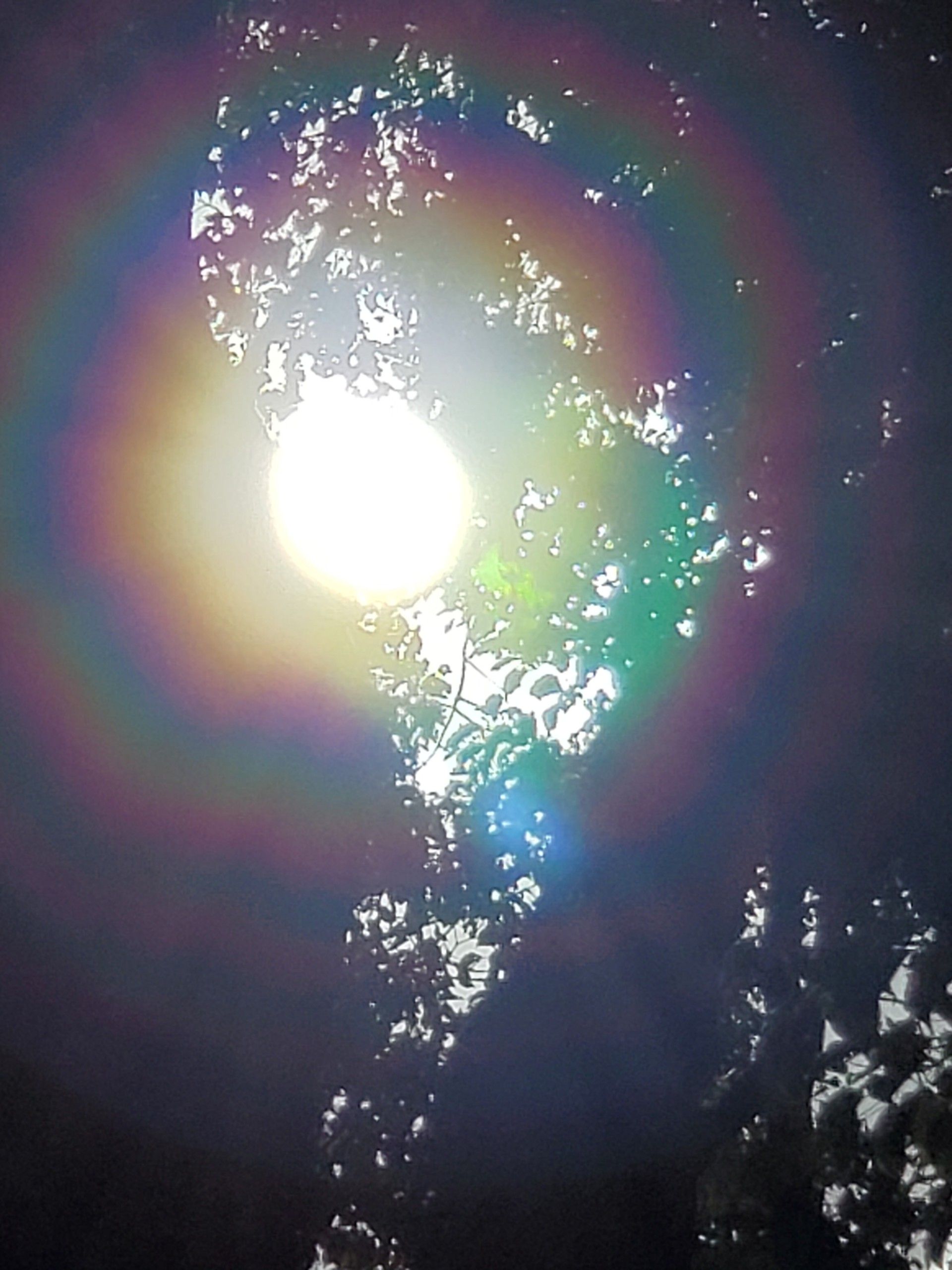 ただ感謝あるのみ。 | 光鯉のブログ - 楽天ブログ