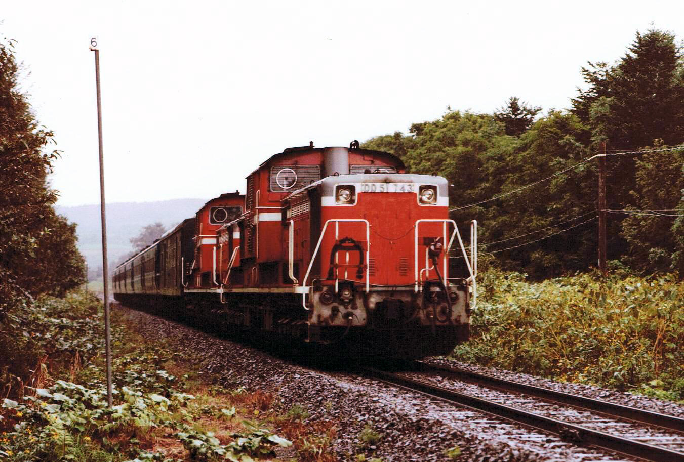 DD51牽引 14系客車：急行「ニセコ」 | マル鉄鉄道写真館2 - 楽天ブログ