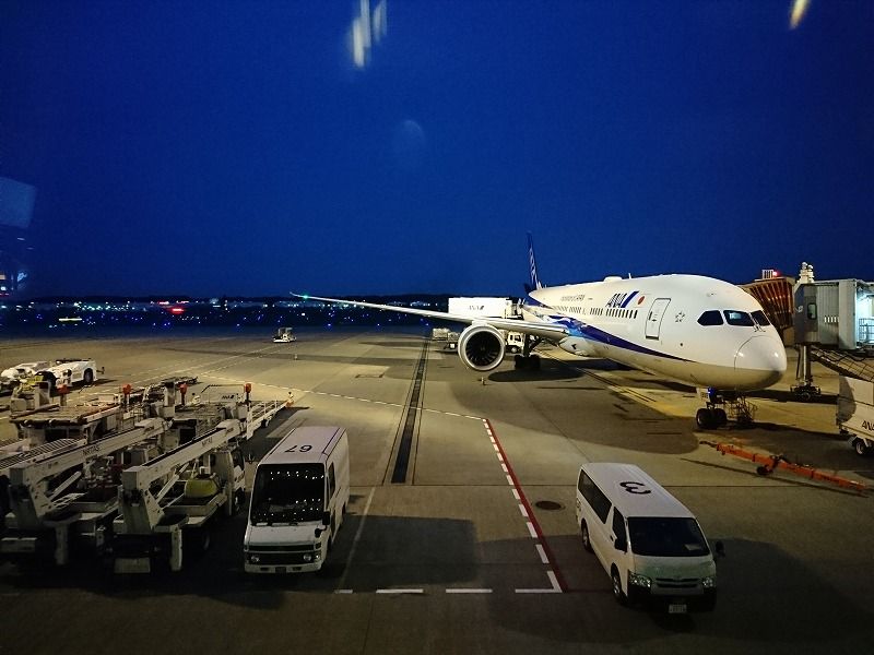 NH184便 プレミアムエコノミー（前編） | エアポート・ハイ - 楽天ブログ