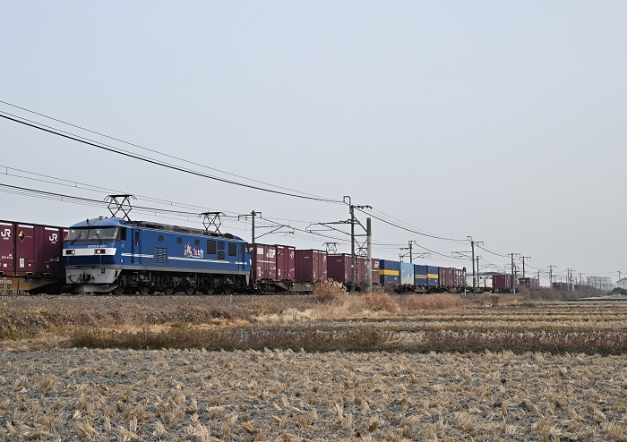 EF210-901 臨8182レ | アッシュ君の部屋 - 楽天ブログ