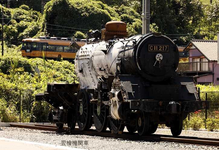 C11217 | 翌檜 「お暇便り」 - 楽天ブログ