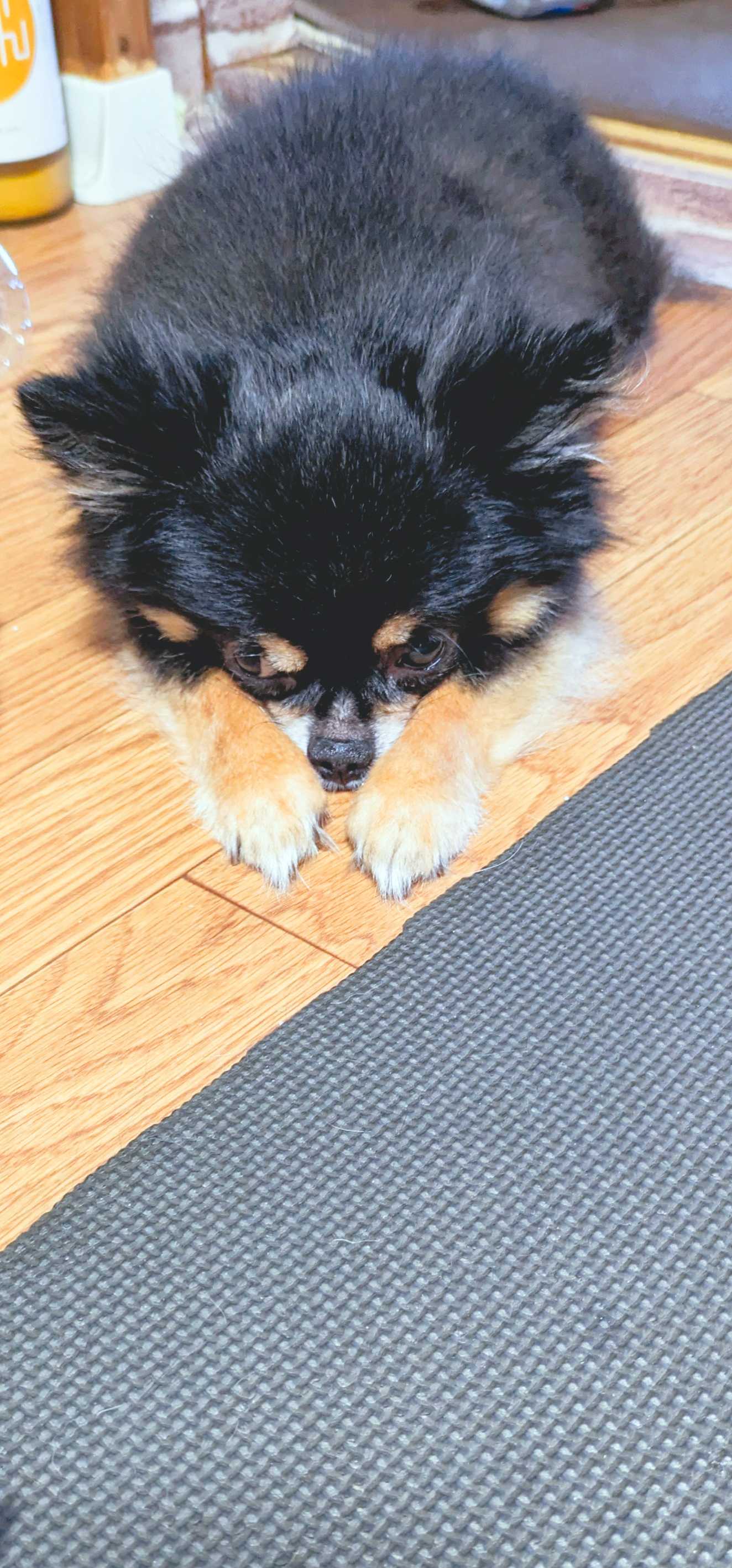 Σ(￣ロ￣lll) ｶﾞﾋﾞｰﾝ | 一護くん大騒ぎ.:*:・'°☆ - 楽天ブログ