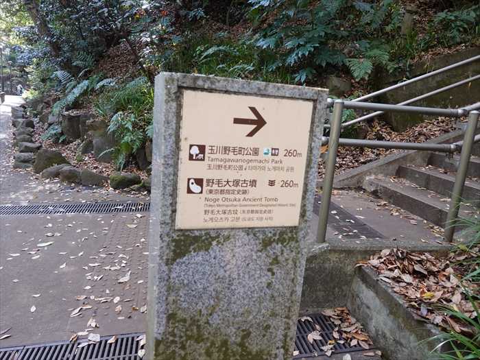 今年も等々力渓谷へ(その2) | JINさんの陽蜂農遠日記 - 楽天ブログ