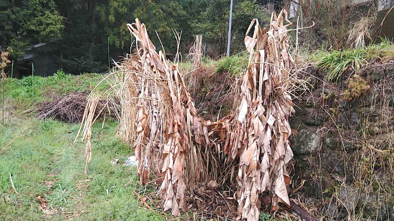 スキゾ逃農記 至善農園精舎 知足 離欲 精進編 | junbenのブログ - 楽天ブログ