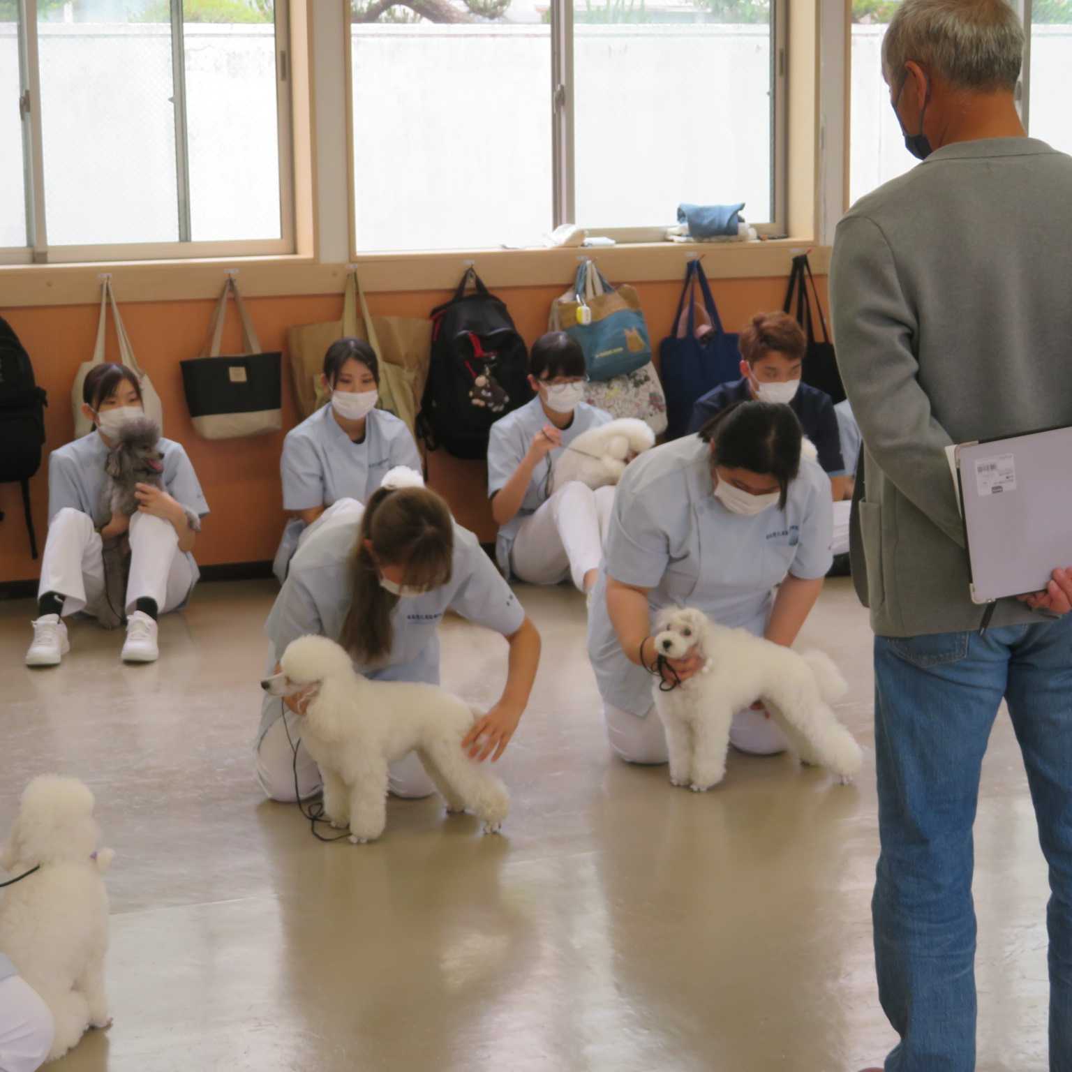 vJKCハンドラー資格取得へ向けて実技授業が行われました(^_^)v | 青森愛犬美容専門学院 - 楽天ブログ