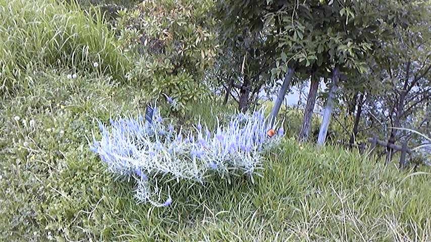 face-splitting(Khatri–Rao, block Kronecker ) product | 隠れ家 - 楽天ブログ