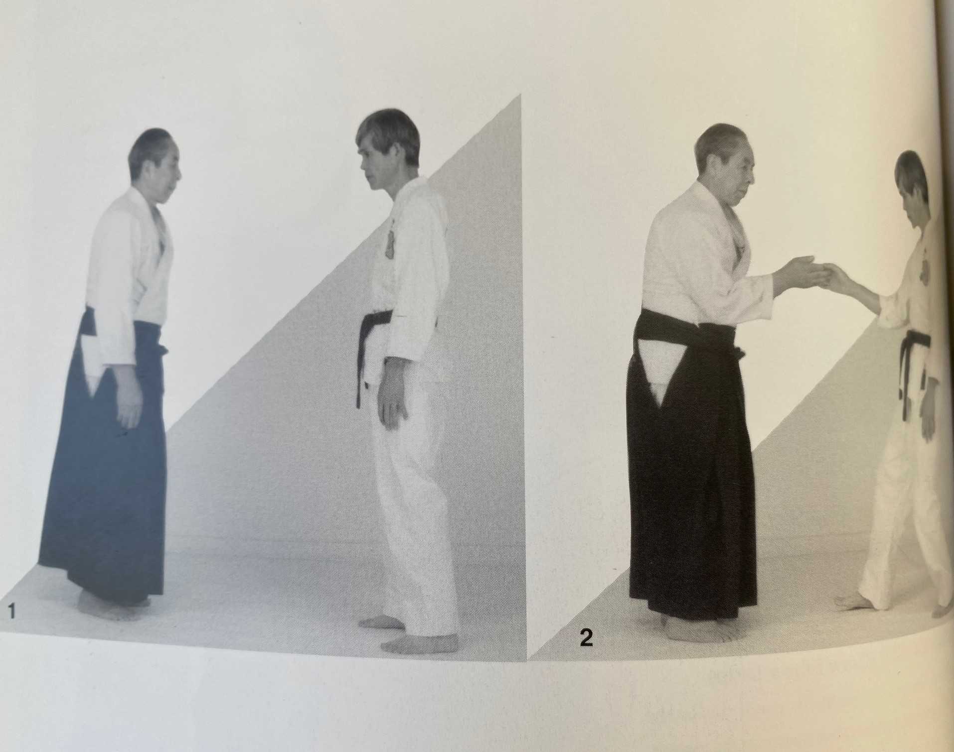 KIHONSHUHOU(Basic Skills) 130 Daitoryu Aikijyujyutsu by Okamoto Seigo ...