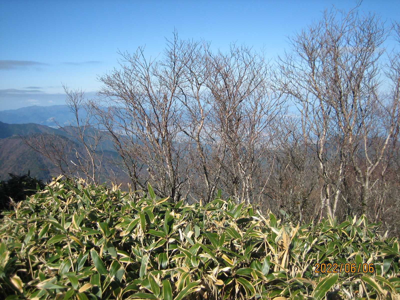 金科玉条MLB,NPB | 63歳からの挑戦（リズム・バランス・タイミング） - 楽天ブログ