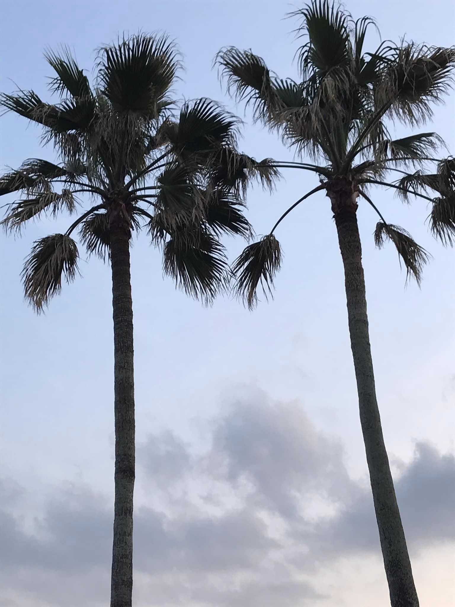 2023/04/01 (土) Sadao Watanabe QUARTET 2023＠リビエラ逗子マリーナ | ユウ君パパのJAZZ三昧日記 ...