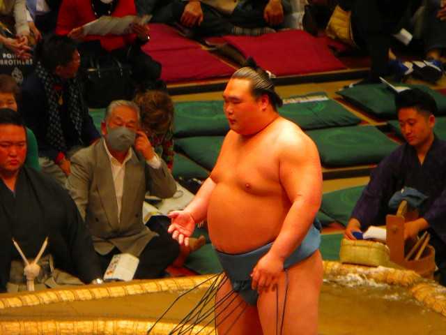 白熊・・・とは？ しろくま 大人気！ 二所ノ関部屋 元・高橋 新入幕 十両優勝 新潟海洋高校→日本体育大学 中村部屋に移籍しなかったのはなぜ ...