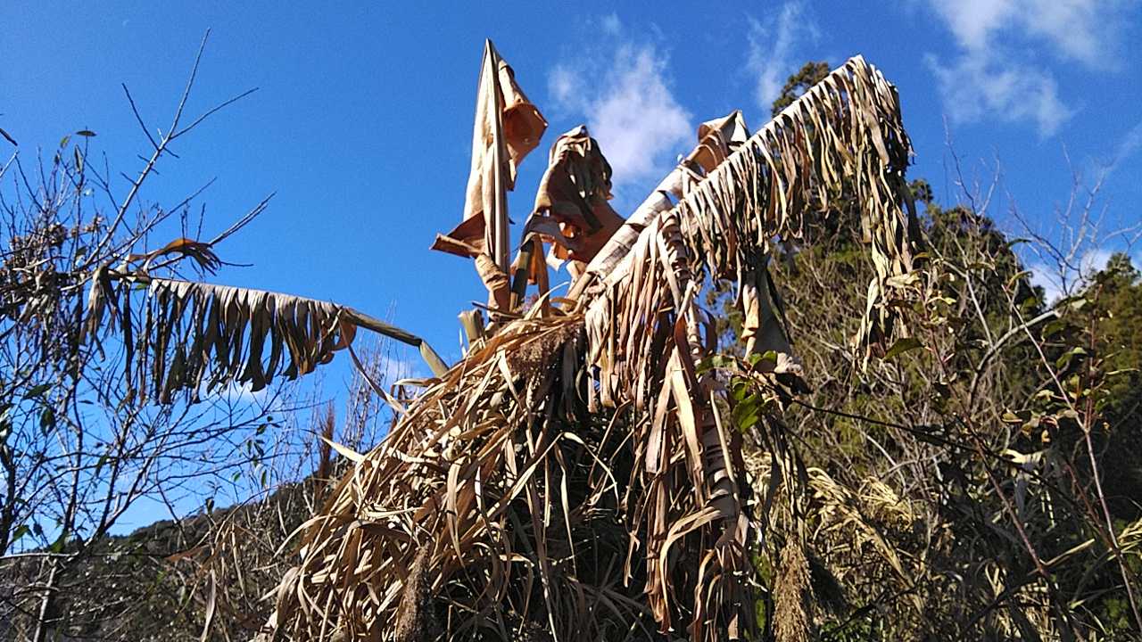 スキゾ逃農記 至善農園精舎 知足 離欲 精進編 | junbenのブログ - 楽天ブログ