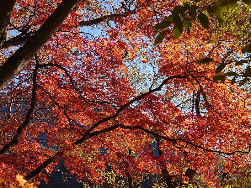 人生は長いようでも いきいき宋休記 楽天ブログ