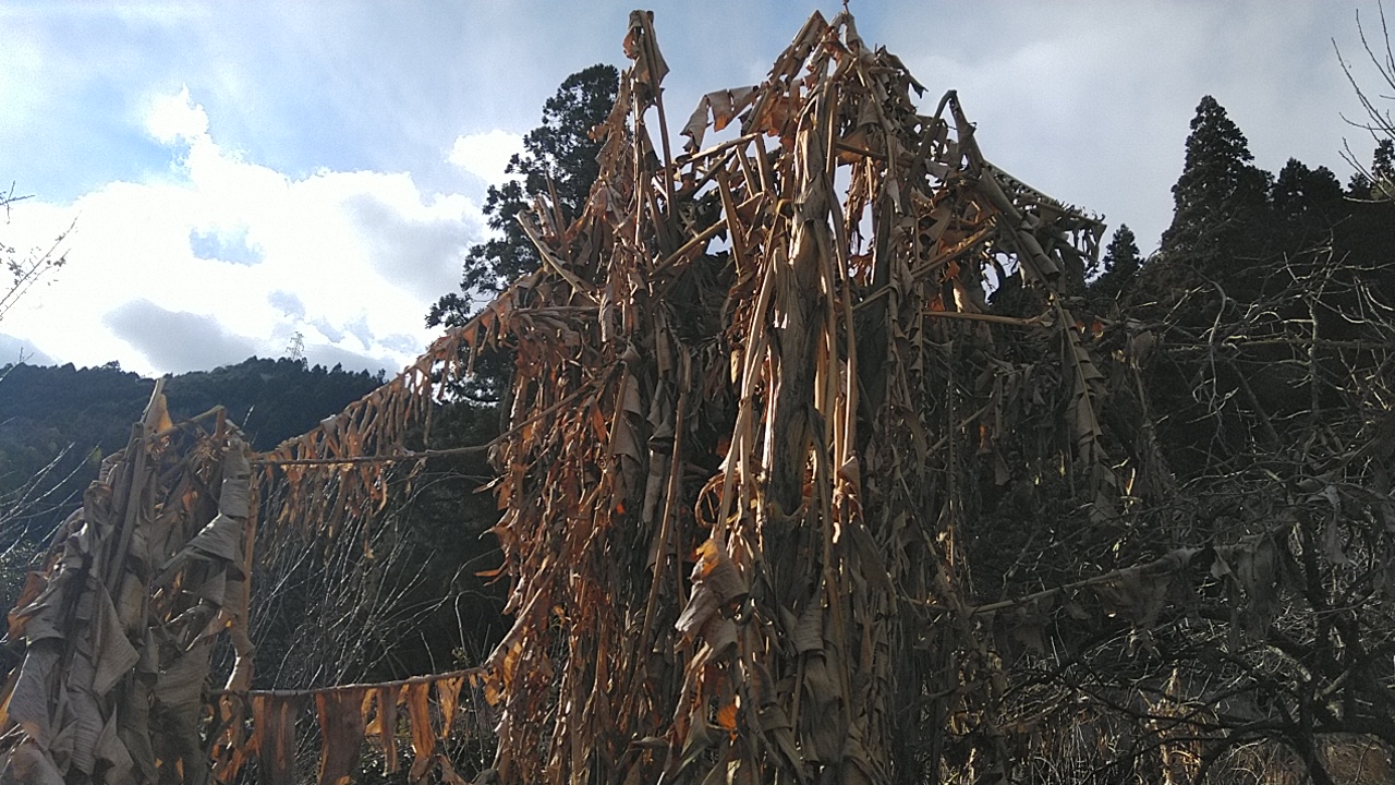 スキゾ逃農記 至善農園精舎 知足 離欲 精進編 | junbenのブログ - 楽天ブログ