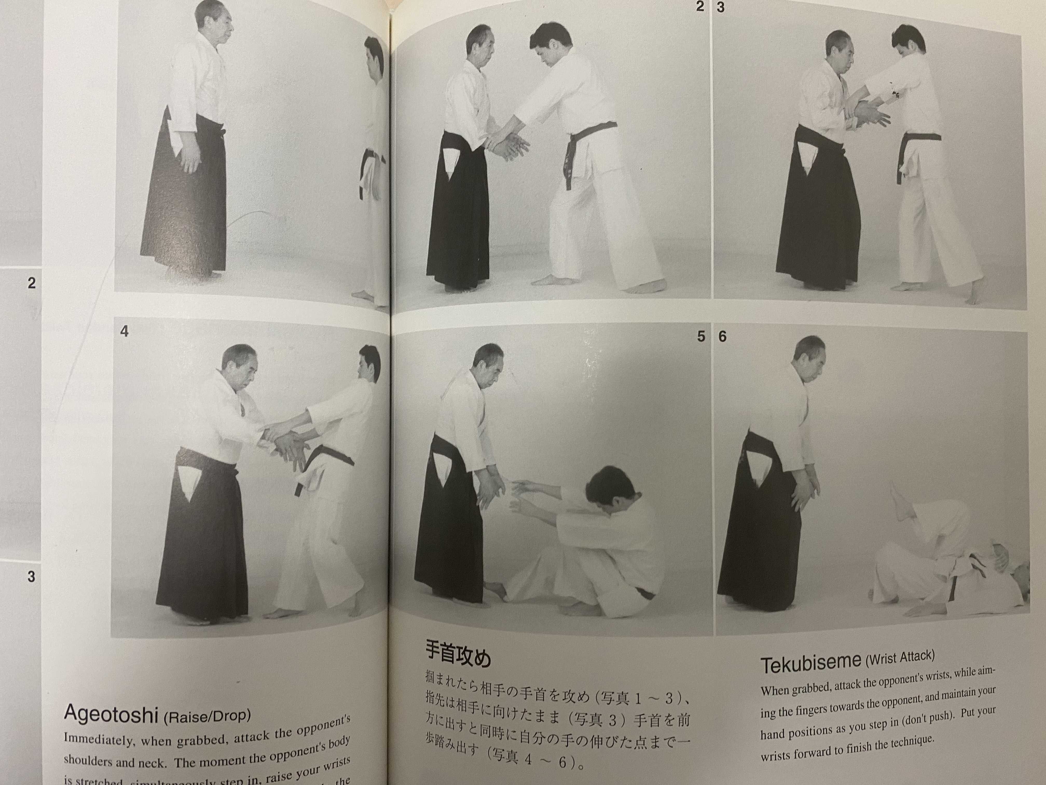 KIHONSHUHOU(Basic Skills) 83 Daitoryu Aikijyujyutsu by Okamoto Seigo ...