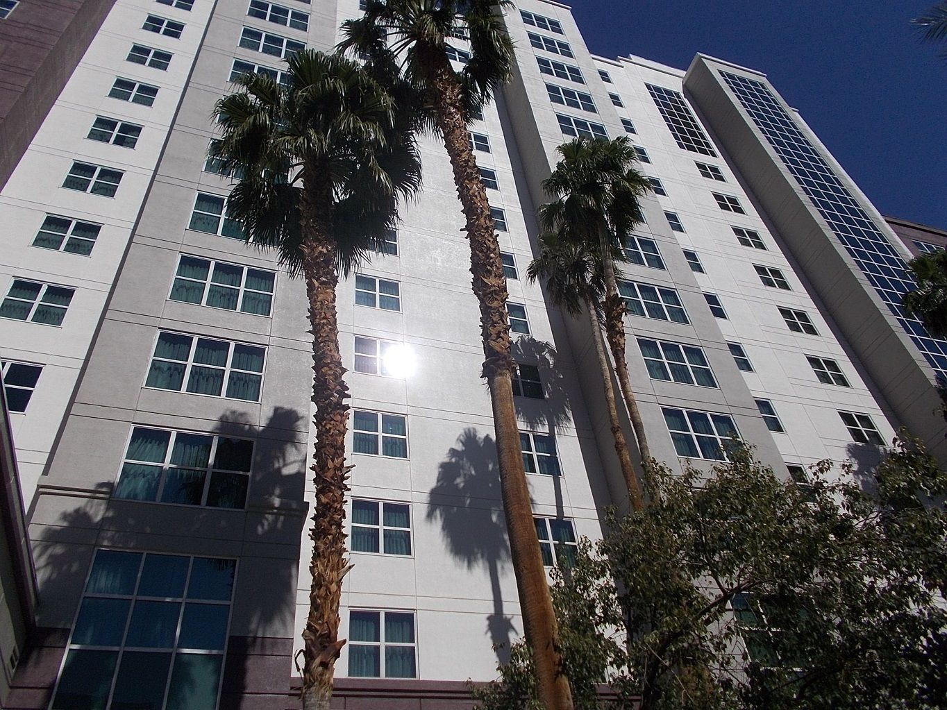 HGVC ヒルトン グランド バケーション クラブ フラミンゴホテル プール＆中庭通路 | ラスベガス ロサンゼルスの旅 - 楽天ブログ