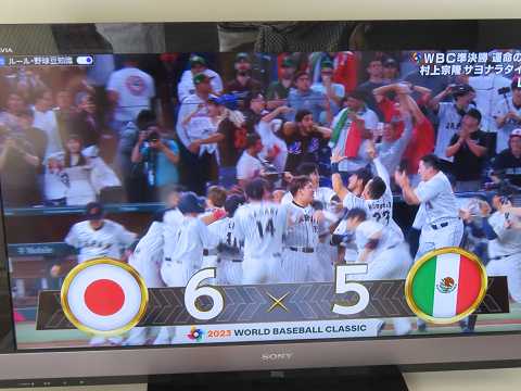WBC2023 日本xﾒｷｼｺ（TV） | 星とカワセミ好きのブログ - 楽天ブログ