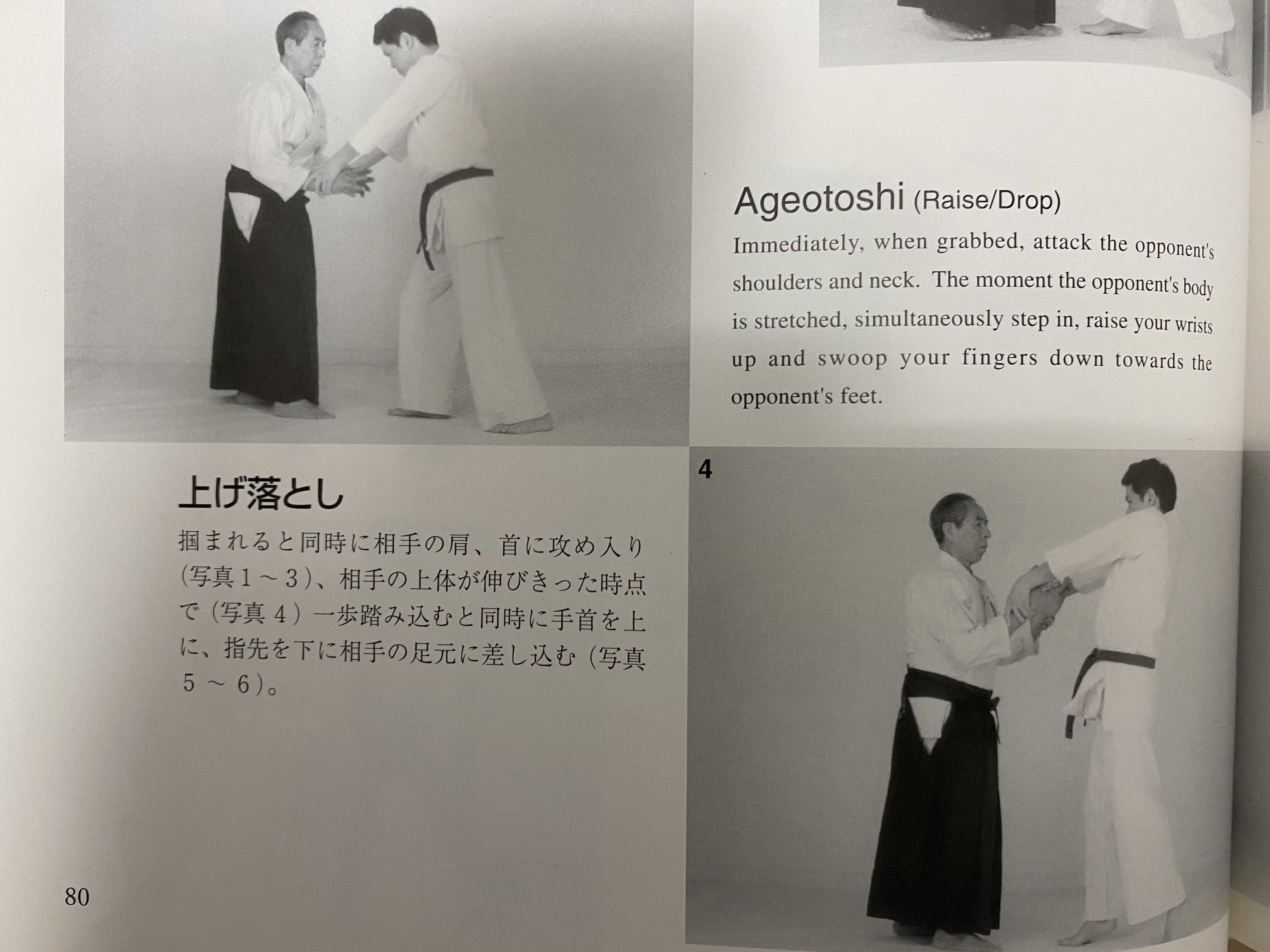 KIHONSHUHOU(Basic Skills) 82 Daitoryu Aikijyujyutsu by Okamoto Seigo ...