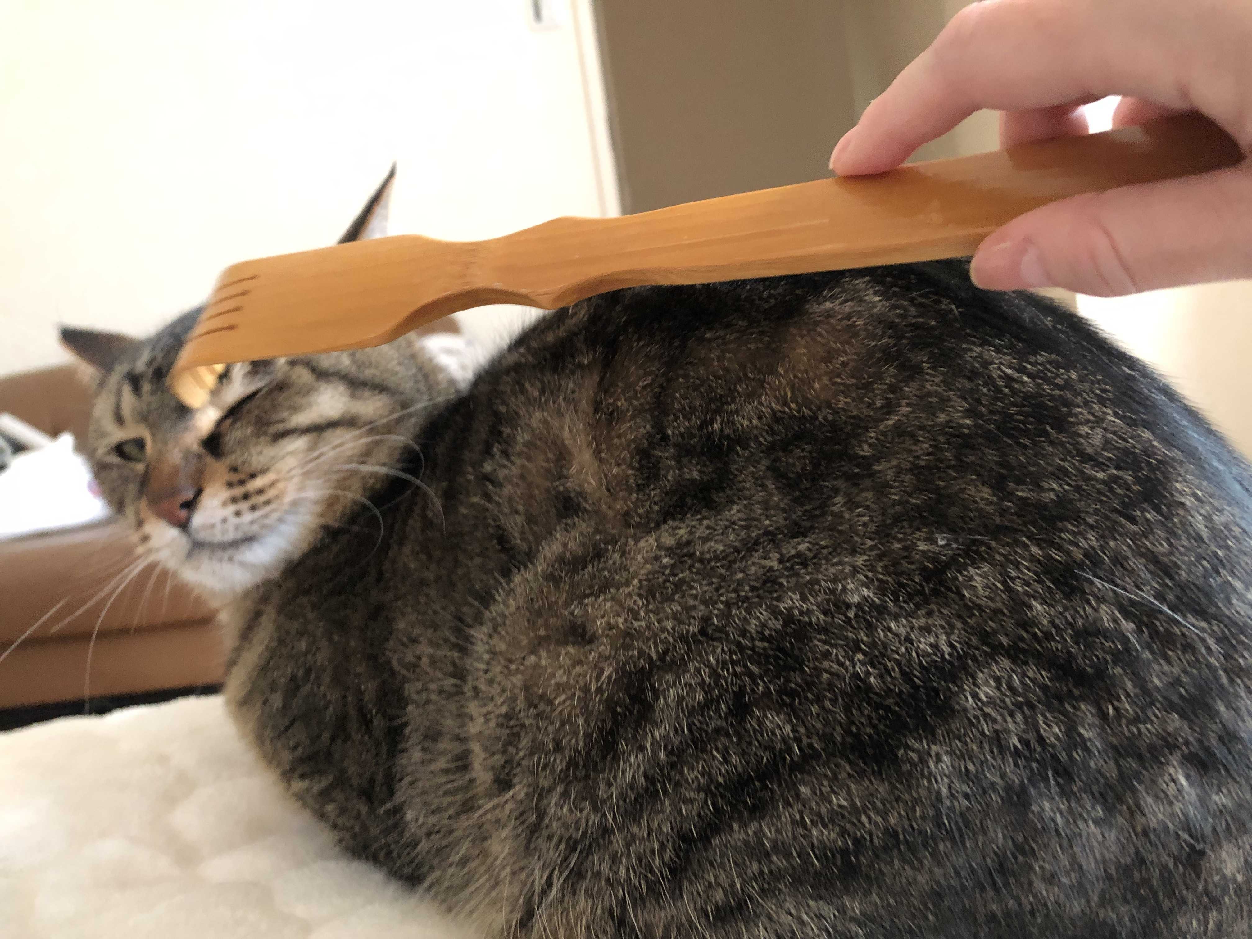 gmgmgm | mdcsmilelifeのブログ - 楽天ブログ