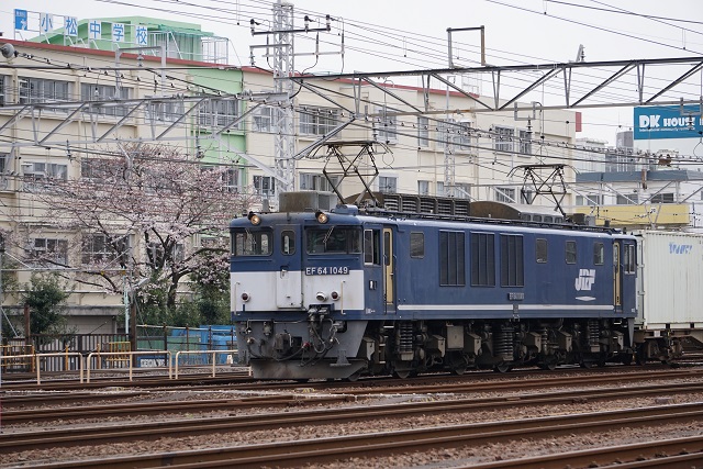 桜 開幕戦 EF64 1049 JRF広島色 牽引 鹿島貨物 | 鉄人騎士。鉄 パワーランド(*^ω^*) - 楽天ブログ