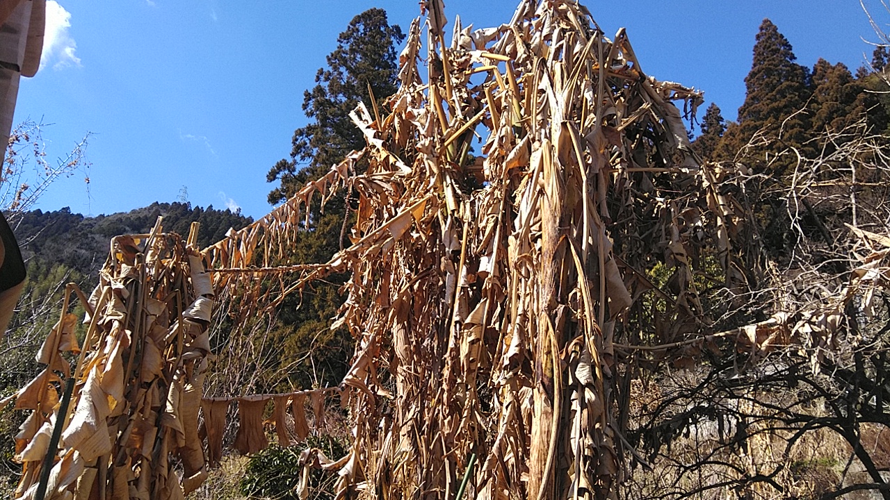 スキゾ逃農記 至善農園精舎 知足 離欲 精進編 | junbenのブログ - 楽天ブログ
